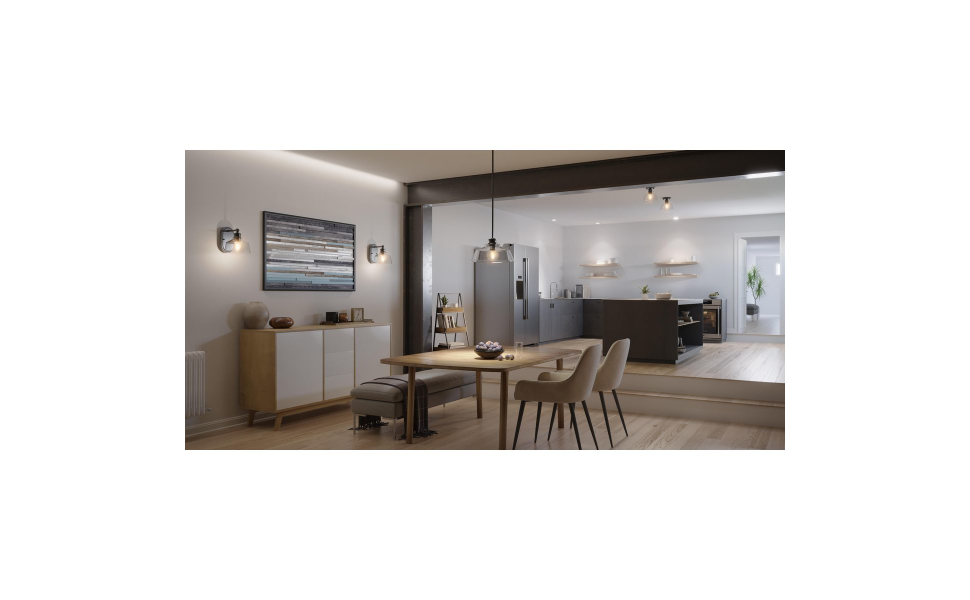 Progress Lighting Singleton 1-Light 14 in. Matte Black Medium Pendant ...