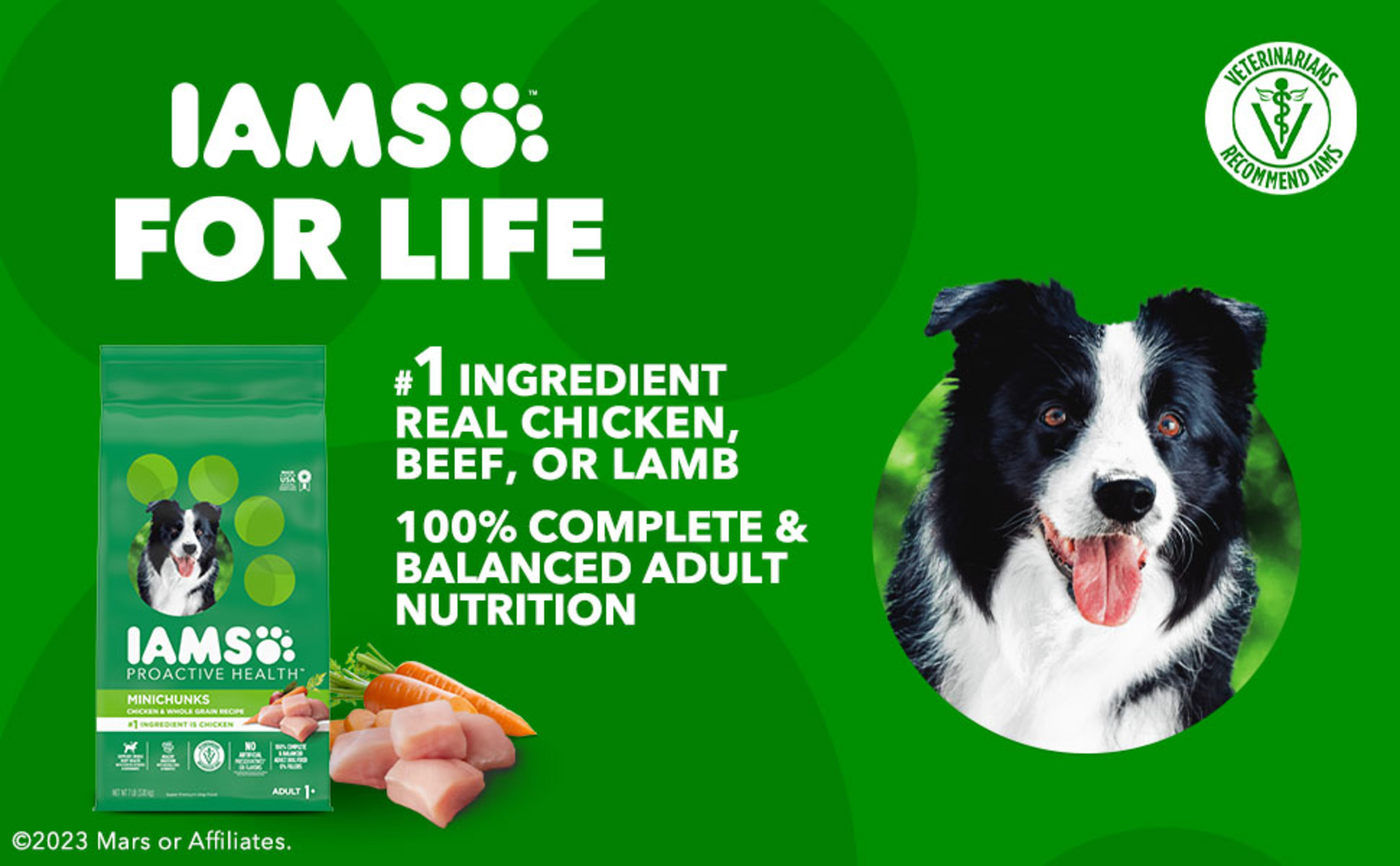 IAMS ProActive Health Small Dog Food Minichunks with Real Chicken and ...