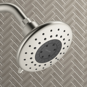 KOHLER Daisyfield 6-Spray Patterns 1.75 GPM 5 in. Wall Mount Handheld Shower Head in Vibrant ...