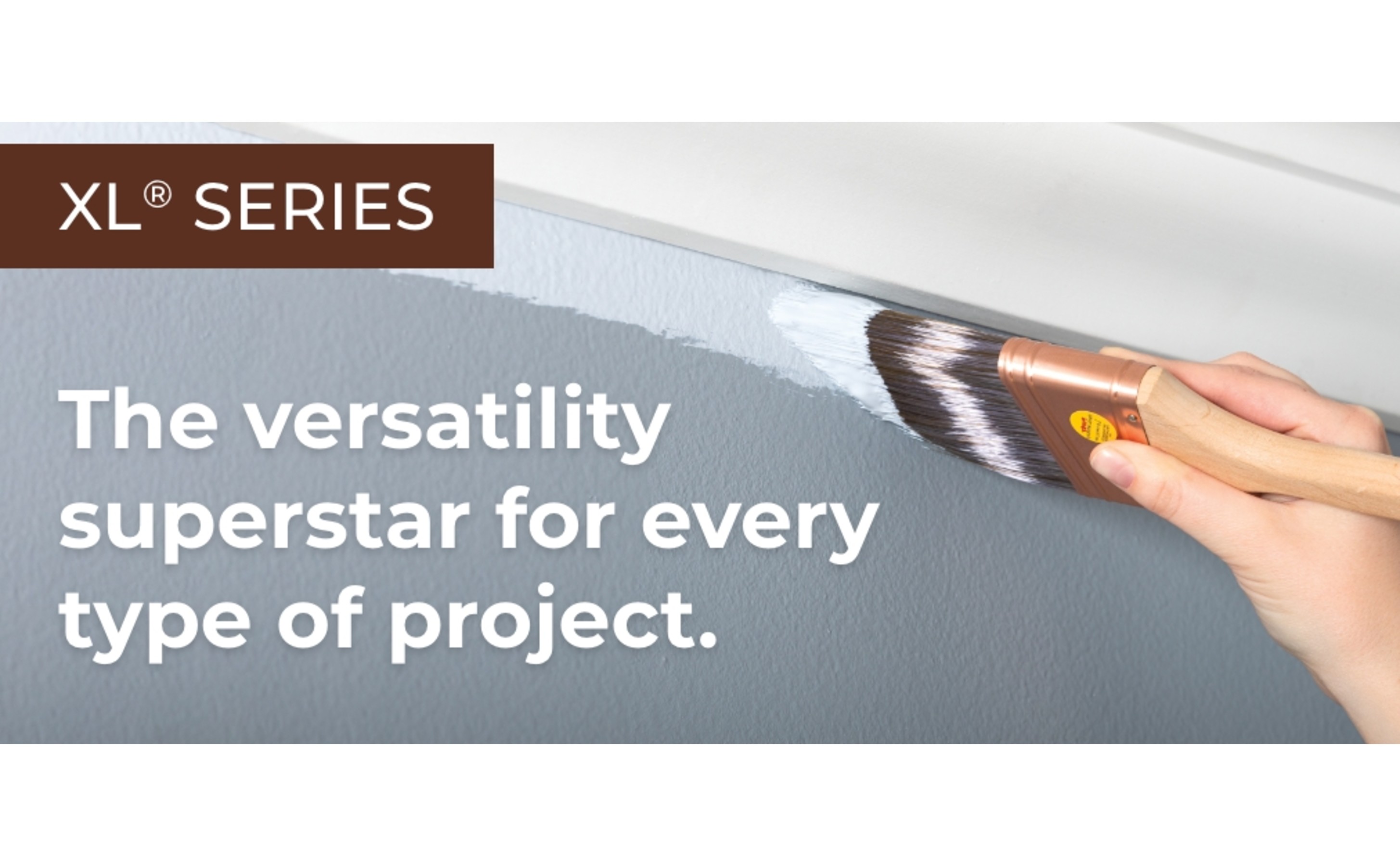 Purdy XL Dale 1 in. Medium Stiff Angle Trim Paint Brush Mfr# 144080310 ...