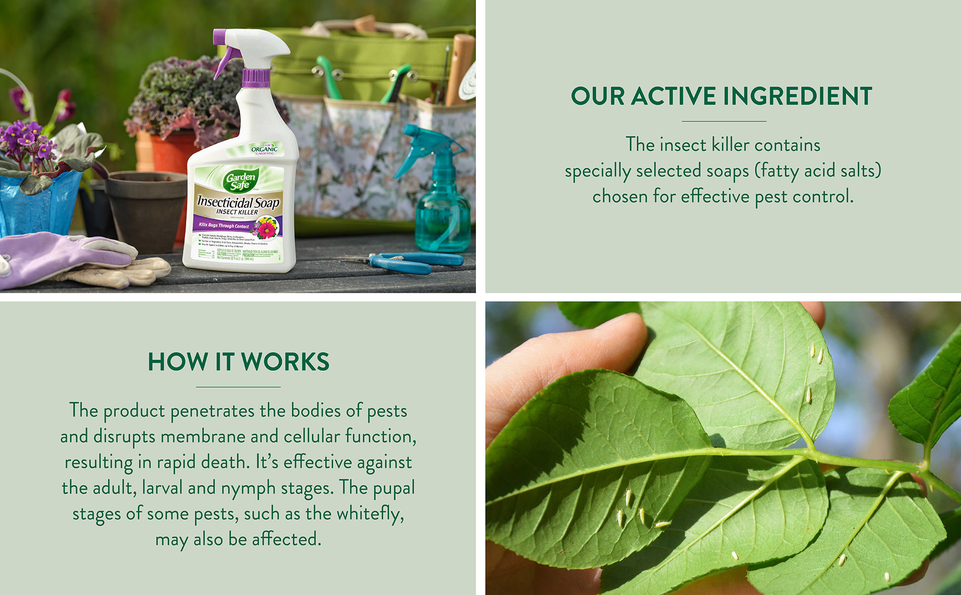 Insecticidal Soap Brand Names