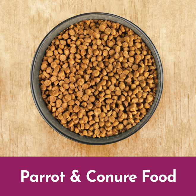 Kaytee NutriSoft Conure & Parrot Food, Soft Chewy Pellets, 3 lbs
