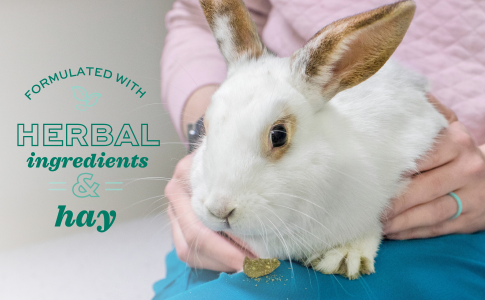 Oxbow Natural Science Vitamin C Supplement, 4.2 oz. | Petco