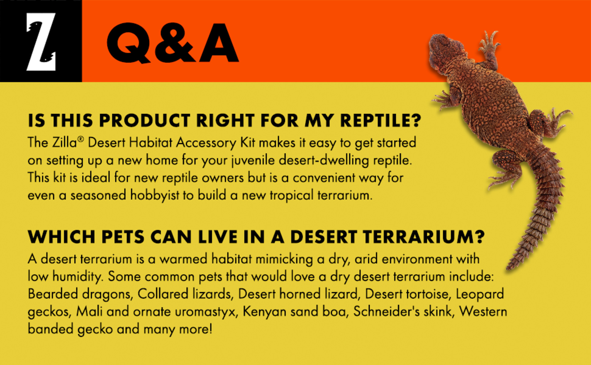 Zilla Desert Habitat Accessory Kit, 10 Gallon | Petco