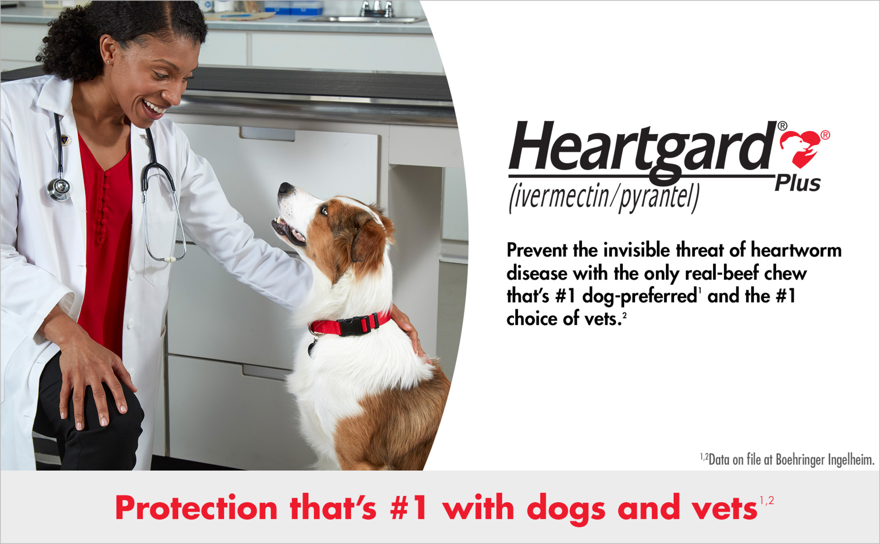 Heartgard Plus Chewables for Dogs Up to 25 lbs., 6 Month Supply | Petco