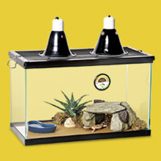 Zilla Desert Habitat Accessory Kit, 10 Gallon | Petco