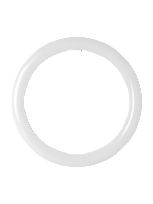 Feit Electric 20-Watt 12 in. T9 G10q Type A Plug and Play Linear Circline LED Tube Light Bulb ...