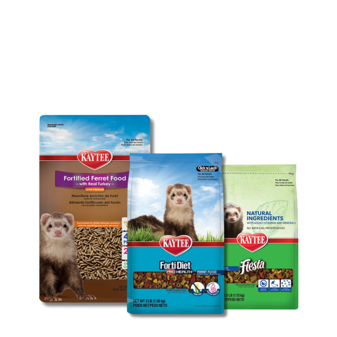 Kaytee Turkey Ferret Food - High Protein & Real Flavor 4 lbs