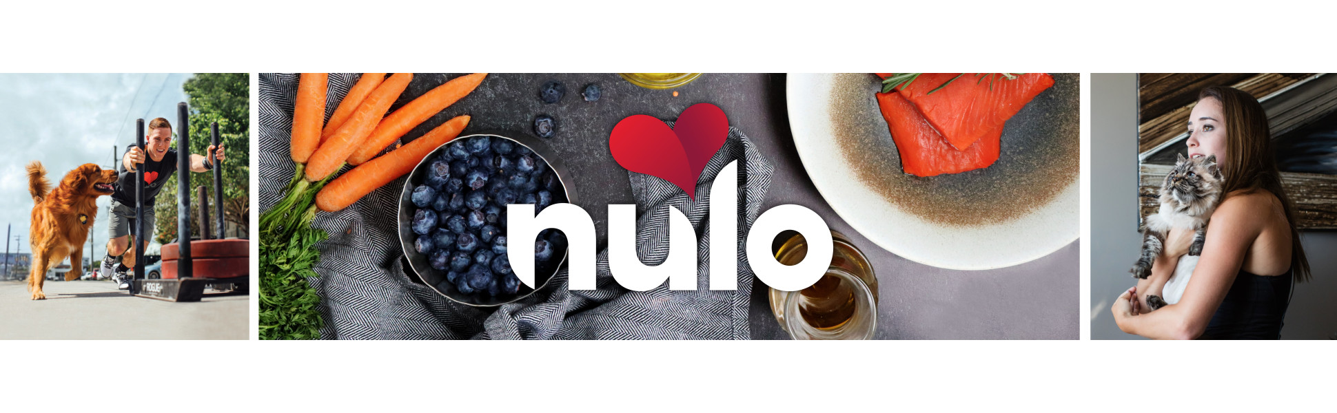 Nulo MedalSeries Digestive Health Chicken & Whitefish Cat Food