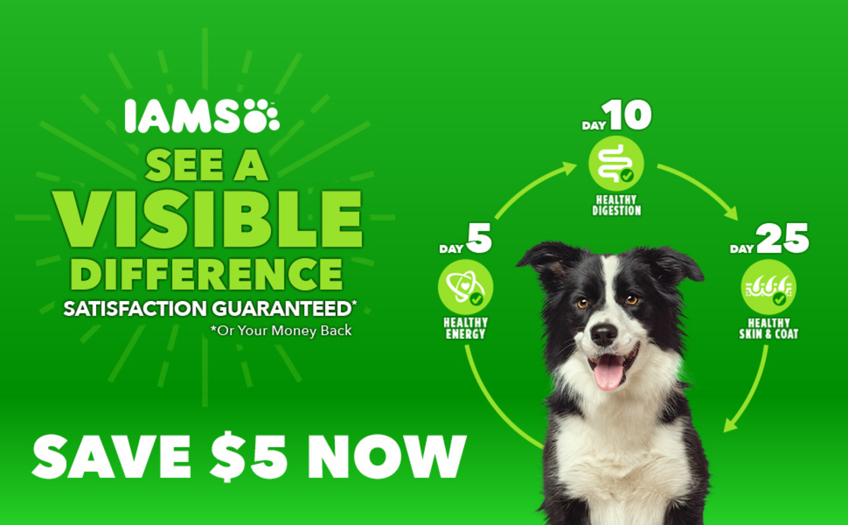 IAMS ProActive Health Small Dog Food Minichunks with Real Chicken and ...