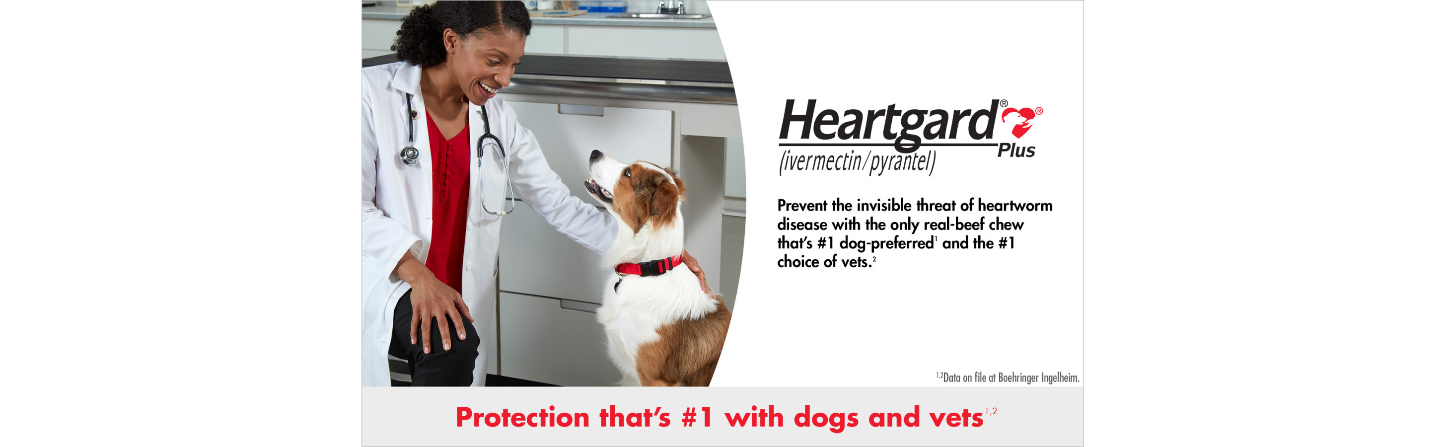 Heartgard Plus Chewables for Dogs Up to 25 lbs., 6 Month Supply | Petco