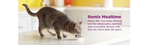 Meow Mix Original Choice Dry Cat Food, 6.3 lbs. | Petco