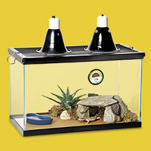 Zilla Desert Habitat Accessory Kit, 10 Gallon | Petco