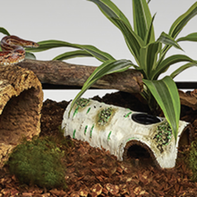 Zilla Rapid Sense Decor Large Poplar Log with Feeding Cup | Petco