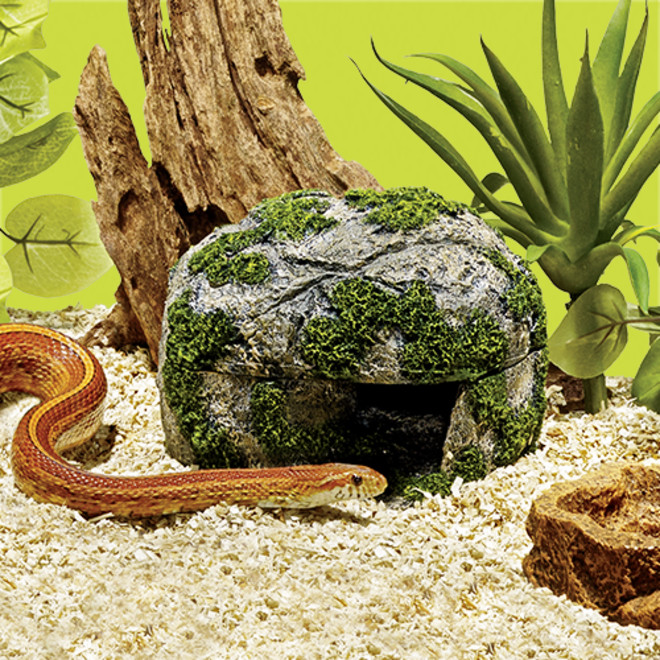 Zilla Aspen Lizard Litter, 24 quarts | Petco