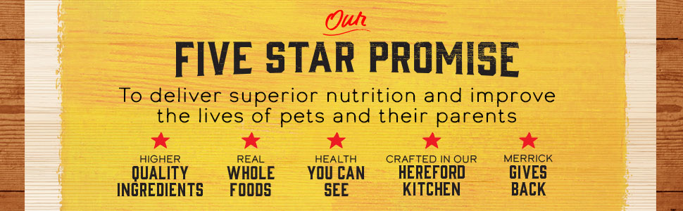 Merrick Grain Free Wingaling Canned Dog Food, 12.7 oz., Case of 12 ...