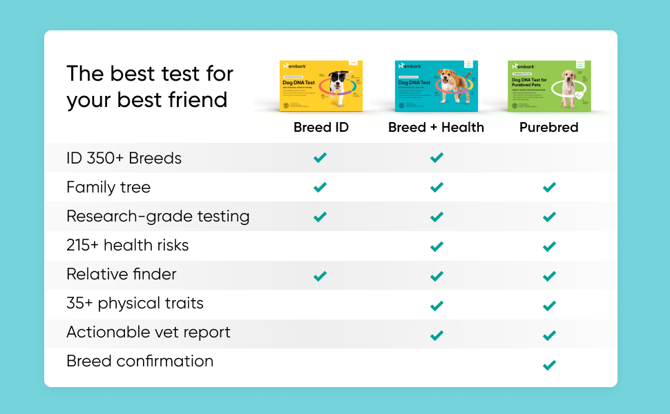 Embark Vet Breed & Health Dog DNA Test Kit