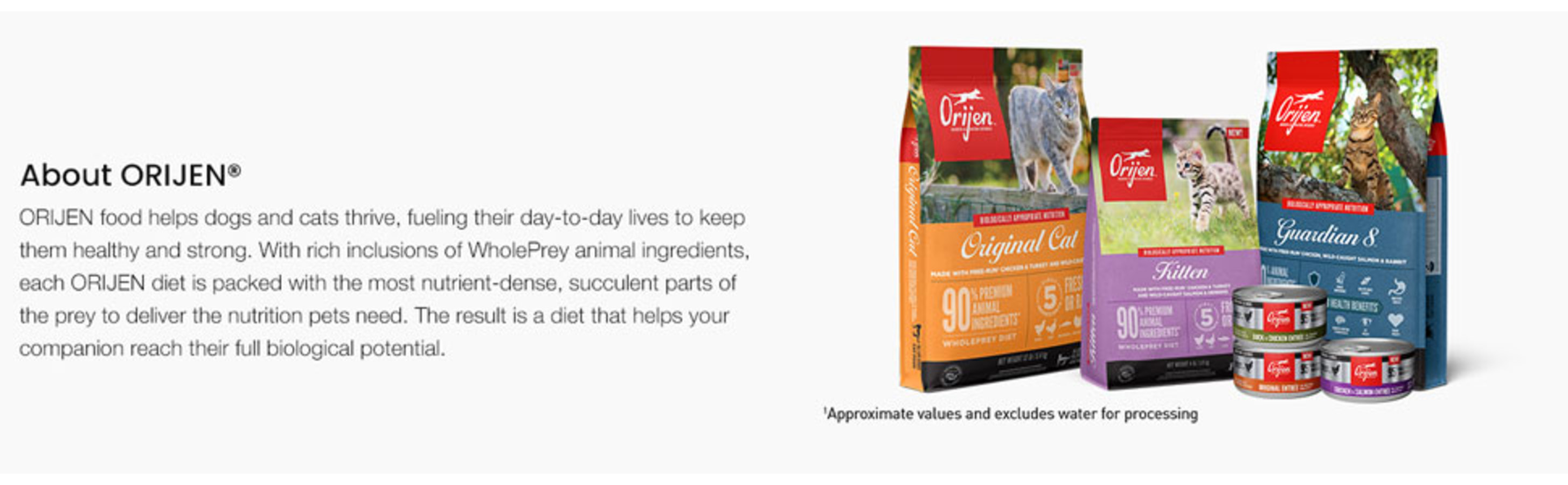 ORIJEN Cat High Protein Fresh & Raw Animal Ingredients Dry Food, 12 lbs ...