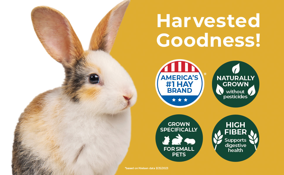 Kaytee Hearty Hay for Small Animals 48 oz High-Fiber & Crunchy