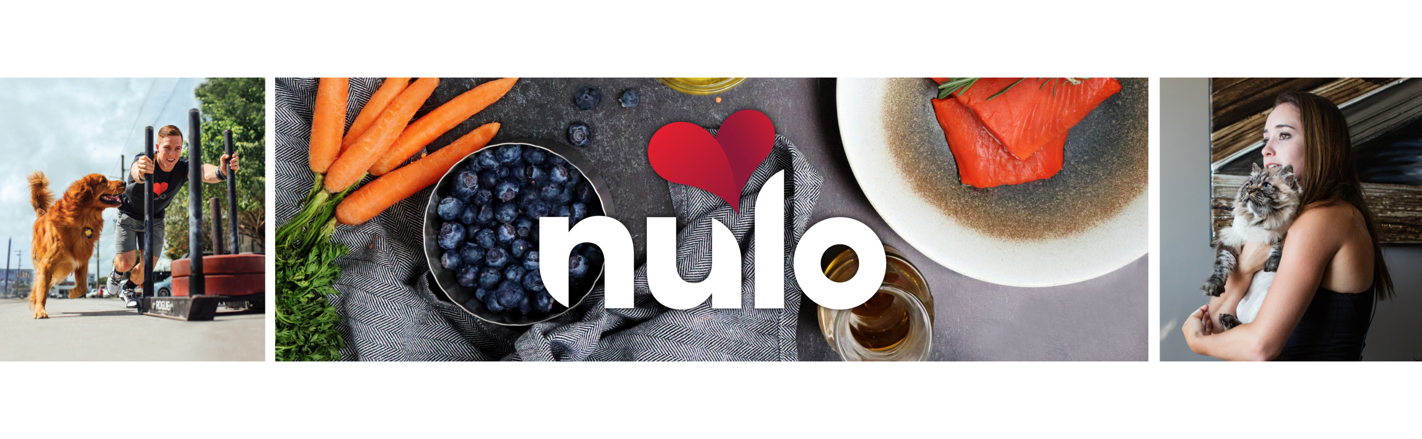 Nulo MedalSeries Digestive Health Chicken & Whitefish Cat Food