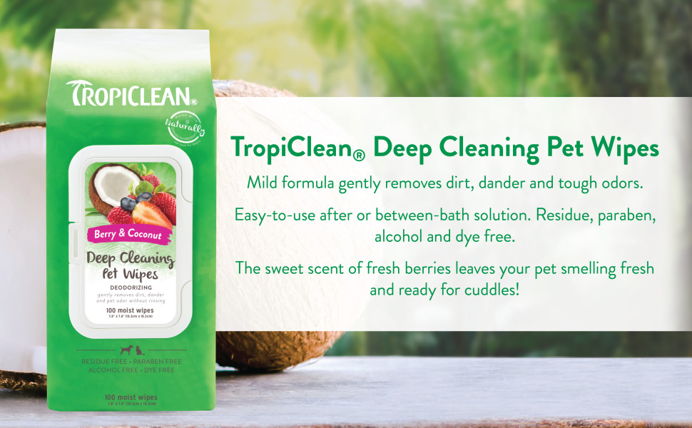 TropiClean Berry & Coconut Deep Cleaning Pet Wipes, Count of 100 | Petco