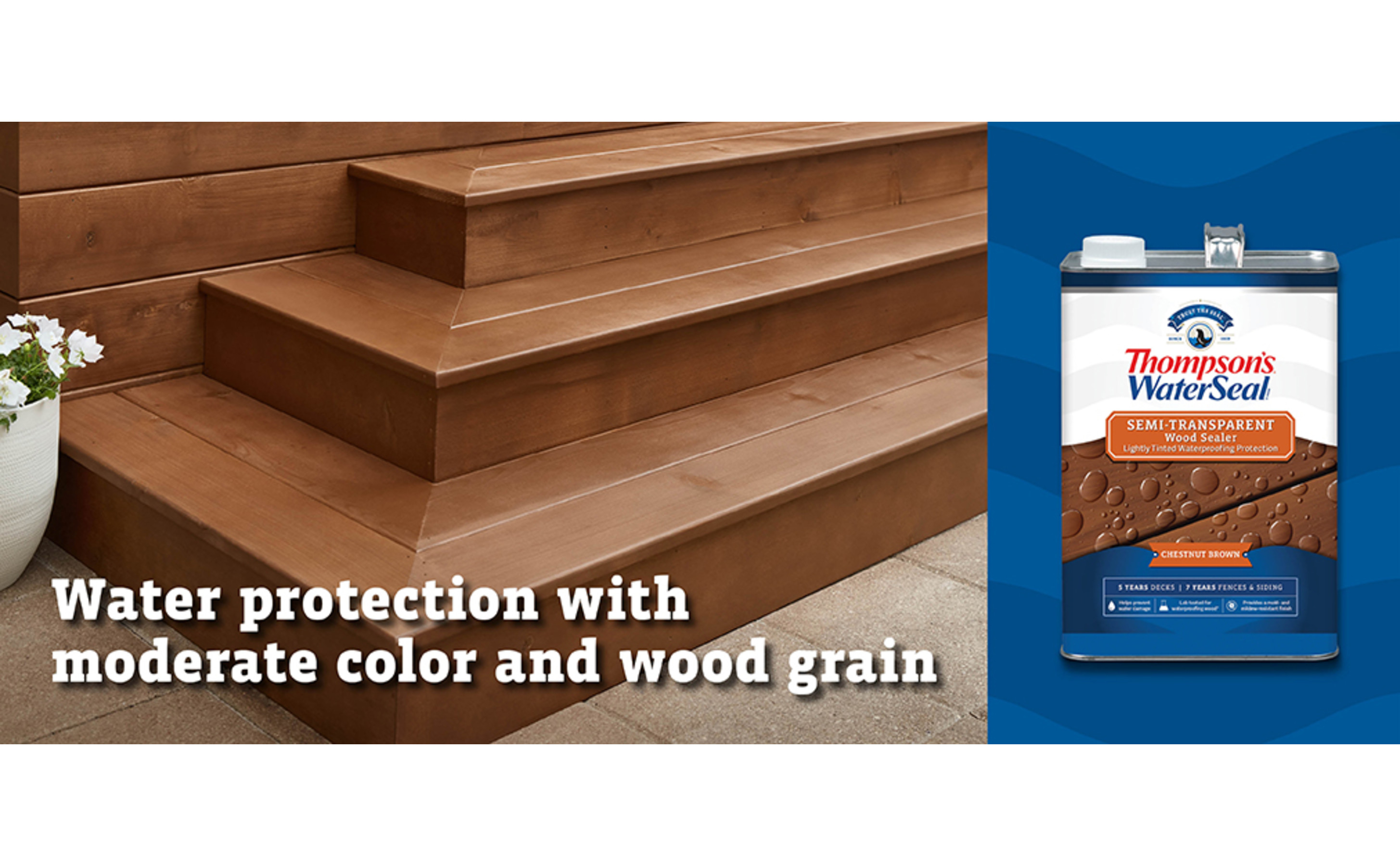 Thompson's WaterSeal Semi-Transparent Natural Cedar Waterproofing Wood ...