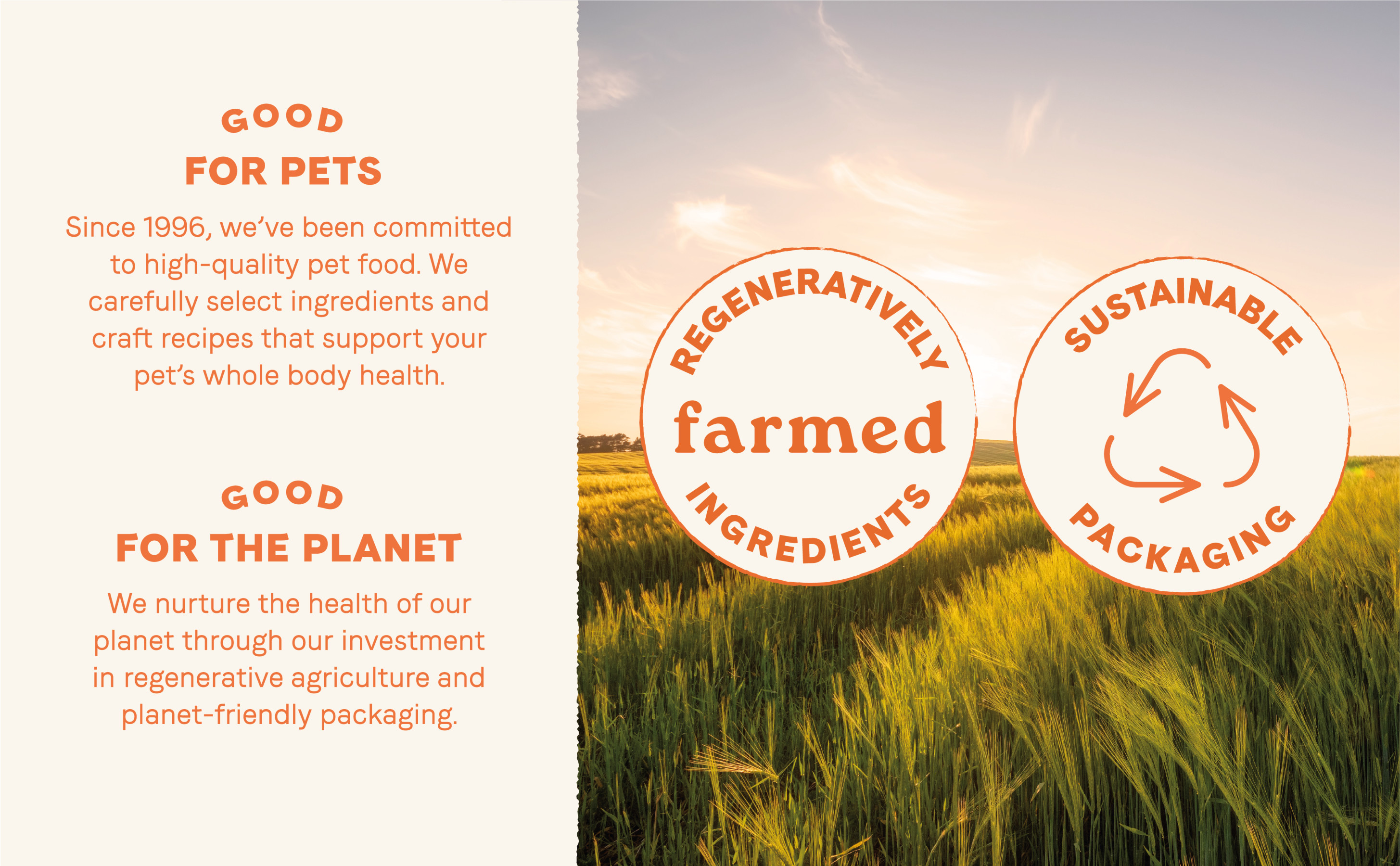 Canidae All Life Stages Real Salmon & Ancient Grains Recipe Dry Dog ...