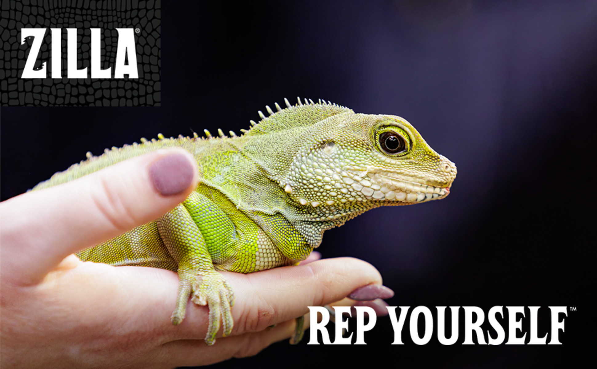 Zilla Omnivore Reptile Munchies Reptile Food, 4 oz. | Petco