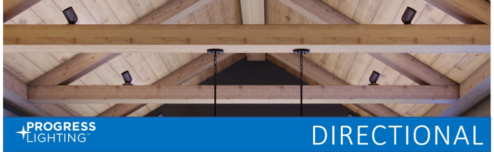 Progress Lighting 2-Light White Track Lighting Fixture P6149-30 - The ...