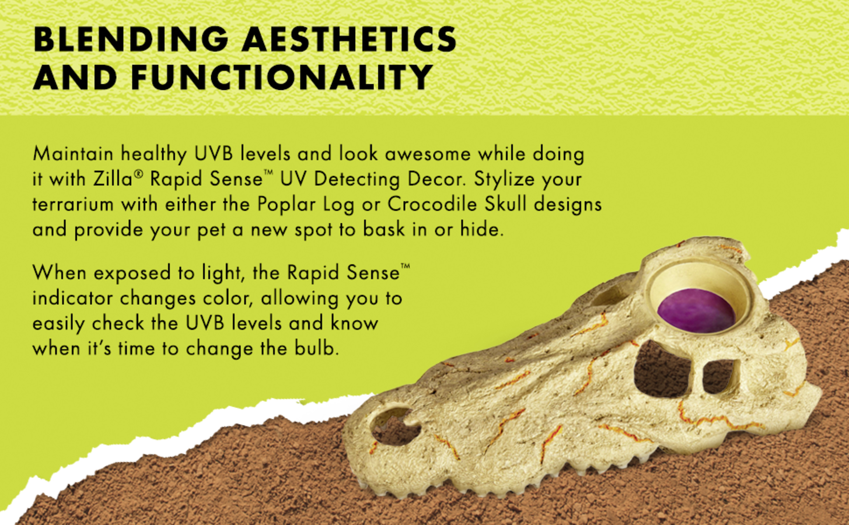 Zilla Rapid Sense Decor Large Crocodile Skull with Feeding Cup | Petco