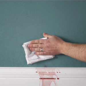 BEHR DYNASTY 8 oz. #P420-7 Crown Jewel Semi-Gloss Enamel Stain-Blocking ...