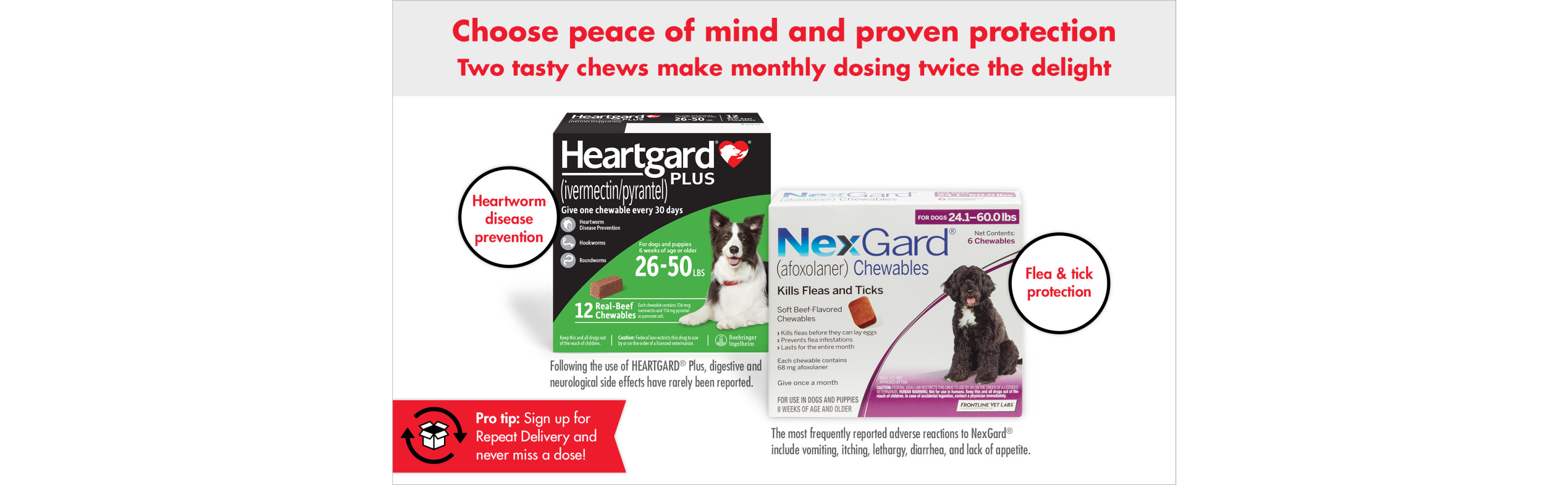 Heartgard Plus Chewables for Dogs Up to 25 lbs., 6 Month Supply | Petco