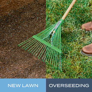 Scotts Turf Builder 5.6 lbs. Grass Seed Kentucky Bluegrass Mix with ...