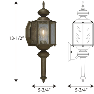 Progress Lighting Roman Coach Collection 1-Light Antique Bronze Clear ...
