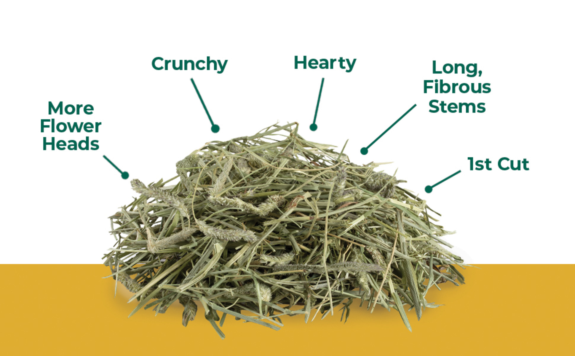 Kaytee Hearty Hay for Small Animals 48 oz High-Fiber & Crunchy