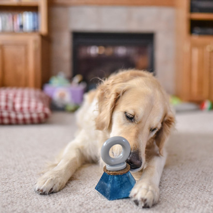 PetSafe Kibble Chase Roaming Treat Dropper Dog Toy, Small | Petco