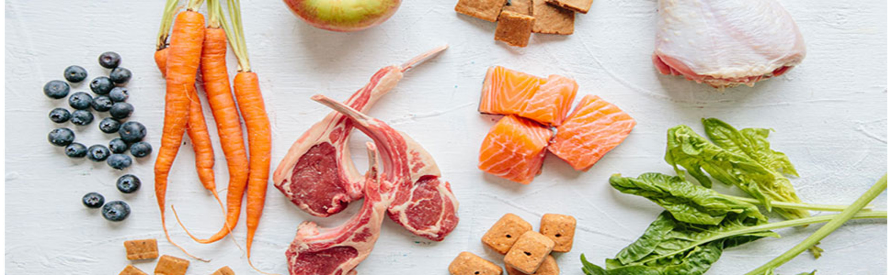 Wellness Complete Health Puppy Bites Natural Grain Free Chicken ...