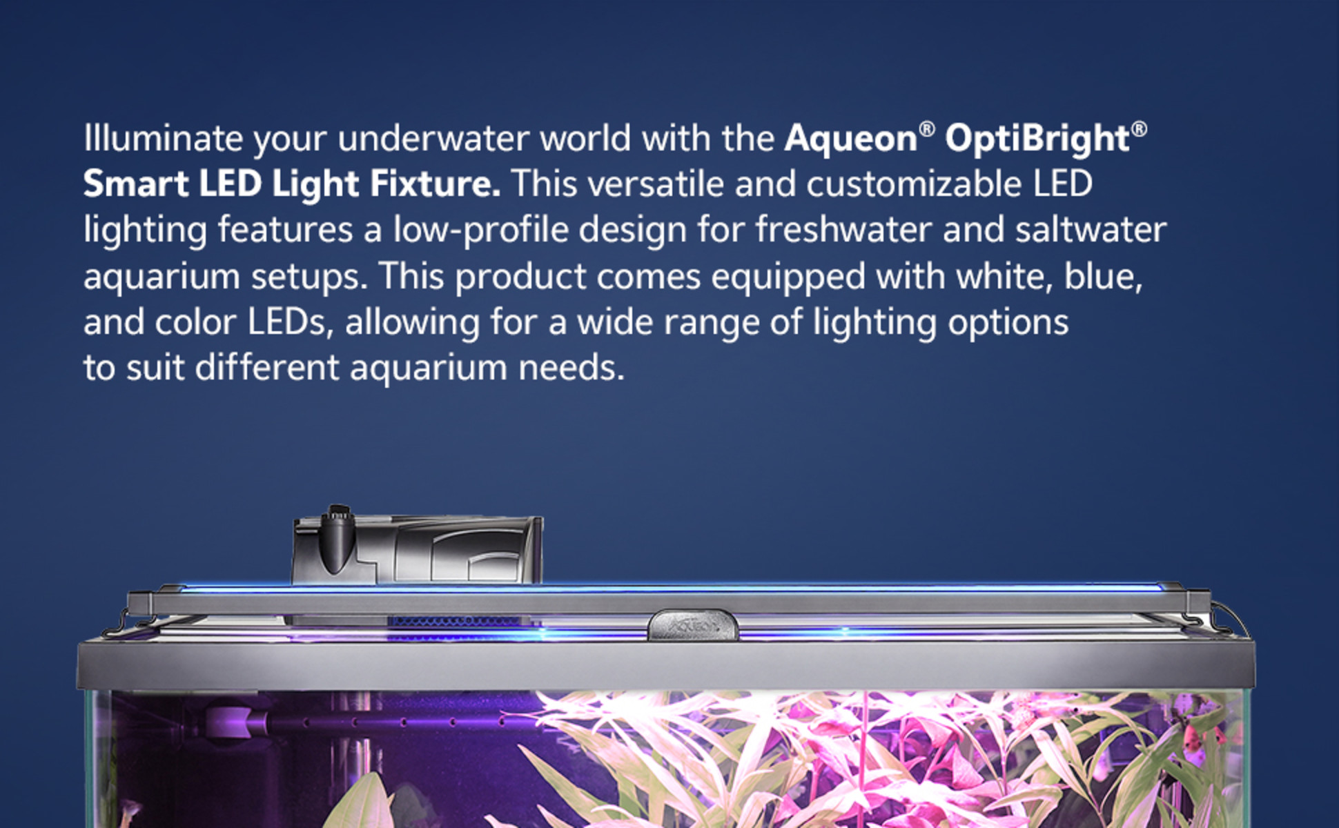 Petco Full Spectrum Lights